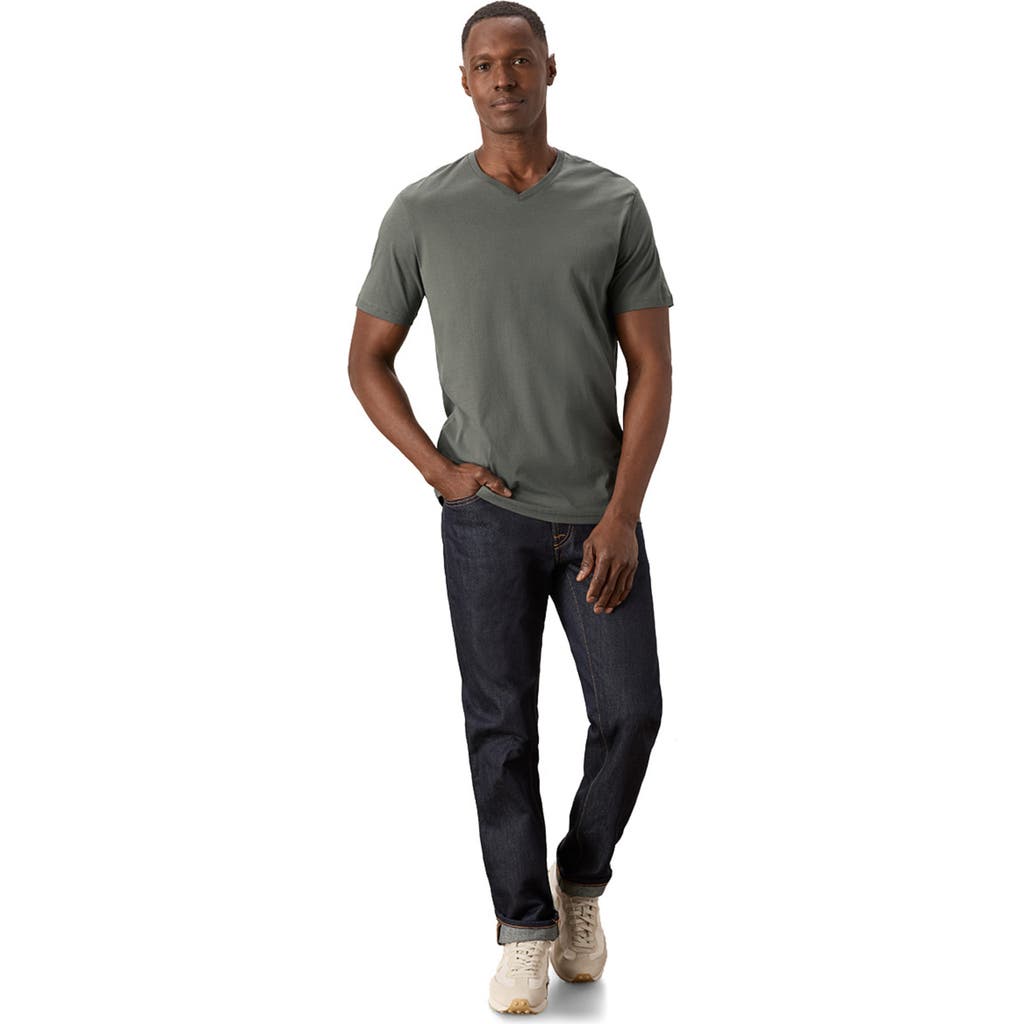 PACT organic cotton softspun essential v-neck tee